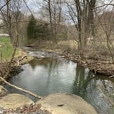 Trout Run Trail, Pennsylvania - 345 Reviews, Map | AllTrails
