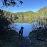 Wallace Falls and Wallace Lake Loop, Washington - 1,222 Reviews, Map ...