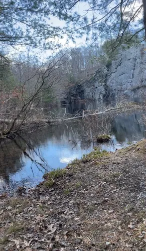 Best Trail Running Trails in Freetown Fall River State Forest | AllTrails