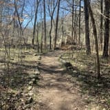 Walls of Jericho Trail, Alabama - 2,324 Reviews, Map | AllTrails