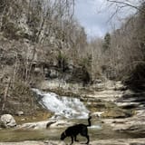 Walls of Jericho Trail, Alabama - 2,324 Reviews, Map | AllTrails