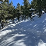 Mount Falcon Castle Trail Loop, Colorado - 5,602 Reviews, Map | AllTrails