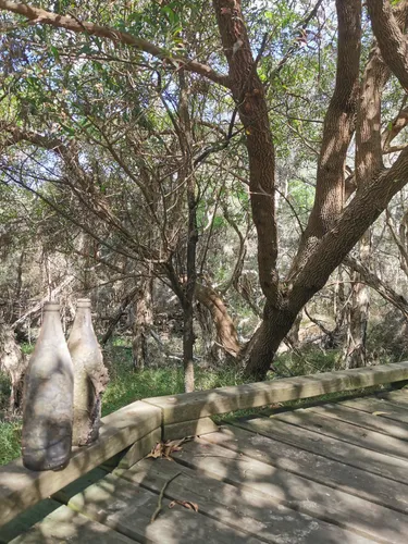 Best Hikes and Trails in Balcombe Creek Bushland Reserve | AllTrails