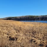 Crane Lake Trail, Missouri - 113 Reviews, Map | AllTrails