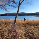 Crane Lake Trail, Missouri - 113 Reviews, Map | AllTrails