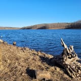 Crane Lake Trail, Missouri - 113 Reviews, Map | AllTrails