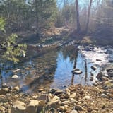 Crane Lake Trail, Missouri - 138 Reviews, Map | AllTrails