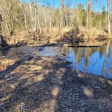 Crane Lake Trail, Missouri - 138 Reviews, Map | AllTrails