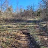 Crane Lake Trail, Missouri - 138 Reviews, Map | AllTrails