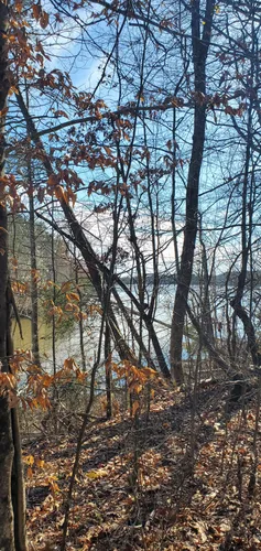 Best Fishing Trails in Burlington | AllTrails