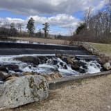 Wawayanda Lake Loop, New Jersey - 1,025 Reviews, Map | AllTrails