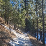 Phillips Lake South Shoreline Trail, Oregon - 37 Reviews, Map | AllTrails