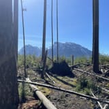 Lake Isabel Trail #1080, Washington - 414 Reviews, Map | AllTrails