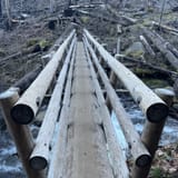 Oneonta Gorge Trail, Oregon - 727 Reviews, Map | AllTrails