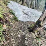 Oneonta Gorge Trail, Oregon - 727 Reviews, Map | AllTrails