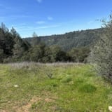 Olmstead Loop and Wendell Robie Trail, California - 2,926 Reviews, Map ...