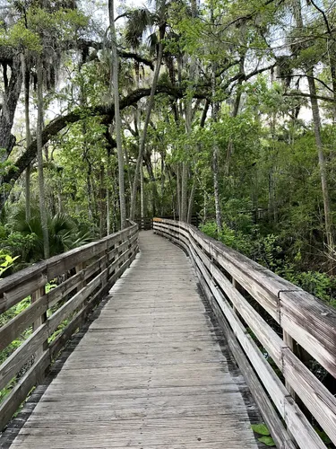 Best Hikes and Trails in Blue Spring State Park | AllTrails