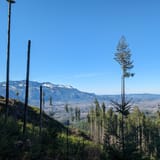 Wallace Falls and Wallace Lake Loop, Washington - 1,222 Reviews, Map ...