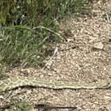 North Loop, Antelope Butte and Lightning Bolt Loop, California - 492 ...