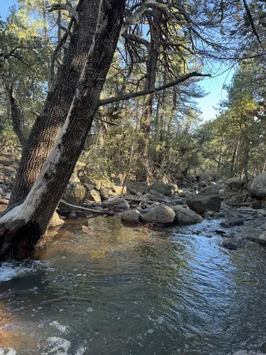 Best Camping Trails in Pine | AllTrails