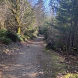 Mima Falls Loop, Washington - 1,510 Reviews, Map | AllTrails
