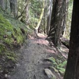 Tamolitch Blue Pool via McKenzie River Trail, Oregon - 4,633 Reviews ...