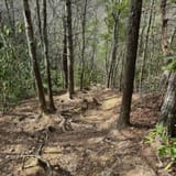 Compression Falls Trail, North Carolina - 384 Reviews, Map | AllTrails