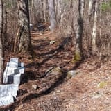 Bioreserve Land and Freetown Fall River Loop, Massachusetts - 71 ...