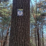 Bioreserve Land and Freetown Fall River Loop, Massachusetts - 71 ...