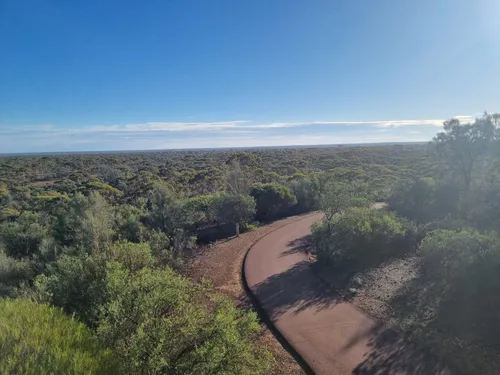 Best Hikes and Trails in Karlkurla Bushland Park | AllTrails