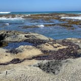 Crayfish Bay to Cape Otway Lighthouse, Victoria, Australia - 59 Reviews ...