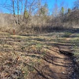 Crane Lake Trail, Missouri - 138 Reviews, Map | AllTrails