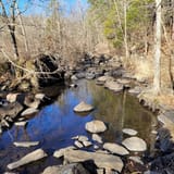 Crane Lake Trail, Missouri - 138 Reviews, Map | AllTrails