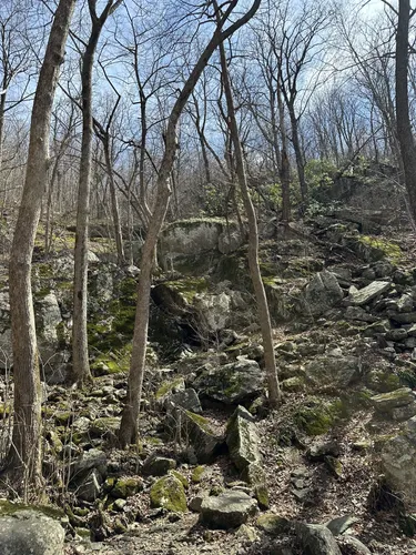 Best Hikes and Trails in Three Ridges Wilderness | AllTrails