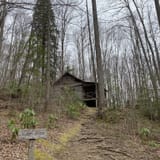 Jakes Creek Trail to Avent Cabin, Tennessee - 926 Reviews, Map | AllTrails