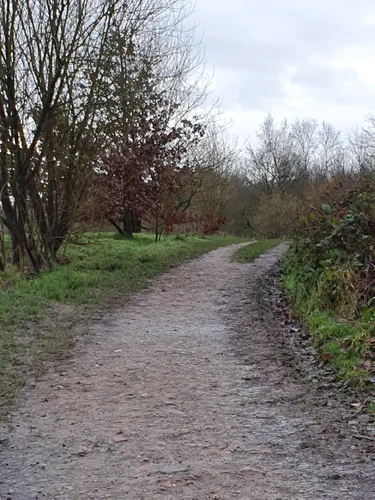 Best Hikes and Trails in Beacon Country Park | AllTrails