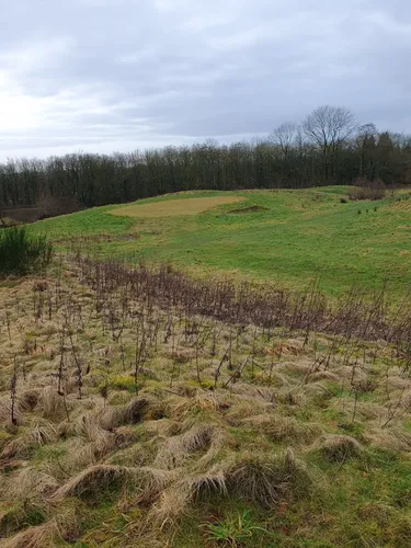 Best Hikes and Trails in Beacon Country Park | AllTrails