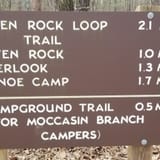 Raven Rock Loop Trail, North Carolina - 2,452 Reviews, Map | AllTrails