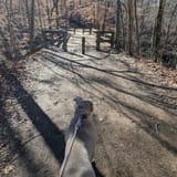 Cochran Mill Loop 1 and 2 (Orange), Georgia - 746 Reviews, Map | AllTrails