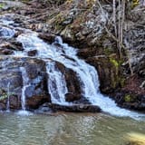 Cochran Mill Loop 1 and 2 (Orange), Georgia - 746 Reviews, Map | AllTrails