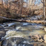 Cochran Mill Loop 1 and 2 (Orange), Georgia - 746 Reviews, Map | AllTrails