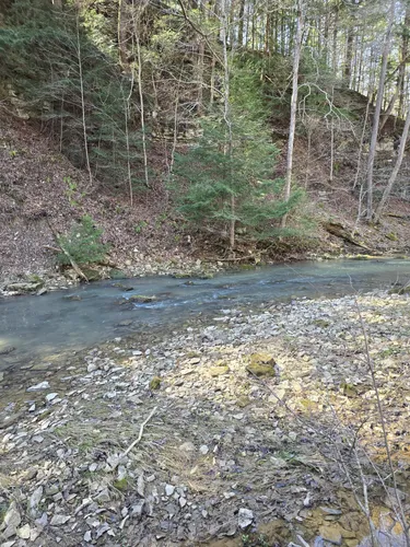 Best Hikes and Trails in Green's Bluff Nature Preserve | AllTrails