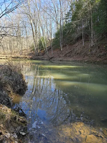 Best Hikes and Trails in Green's Bluff Nature Preserve | AllTrails