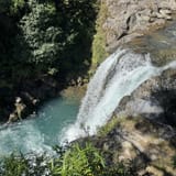 Tawhai Falls Walk, Manawatū-Whanganui, New Zealand - 386 Reviews, Map ...