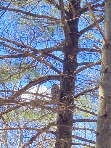 Best Hikes and Trails in Whipple Hill Conservation Lands | AllTrails