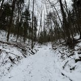 Potato Field and Maple Grove Trail Loop, New York - 366 Reviews, Map ...