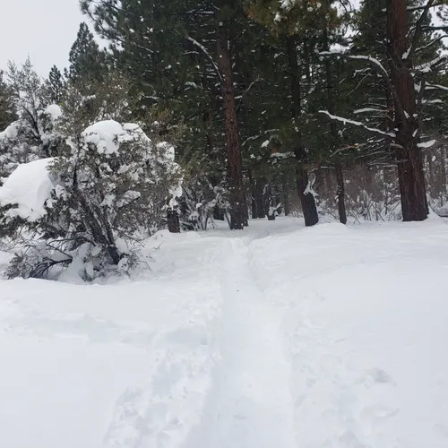 Best Waterfall Trails in Mount Rose Wilderness | AllTrails