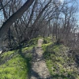 Boise Cascade Lake Loop, Idaho - 303 Reviews, Map | AllTrails