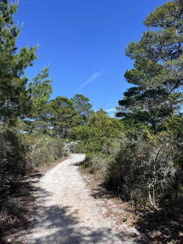 10 Best Trails and Hikes in Boca Raton | AllTrails