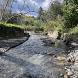 Murphy Ranch Trail, California - 3,615 Reviews, Map | AllTrails